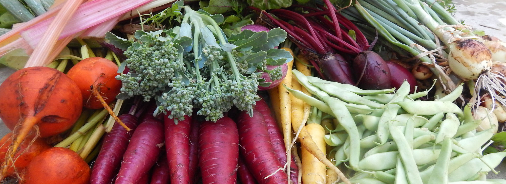 September is National Fruits and Veggies month | K-State | Kansas State ...